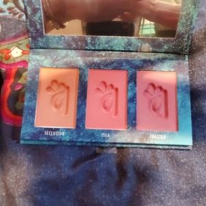 Makeup | Eyeshadow Blush Kit | Poshmark